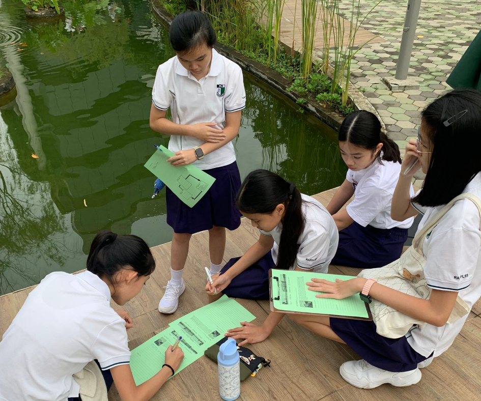 Executive Functioning Skills